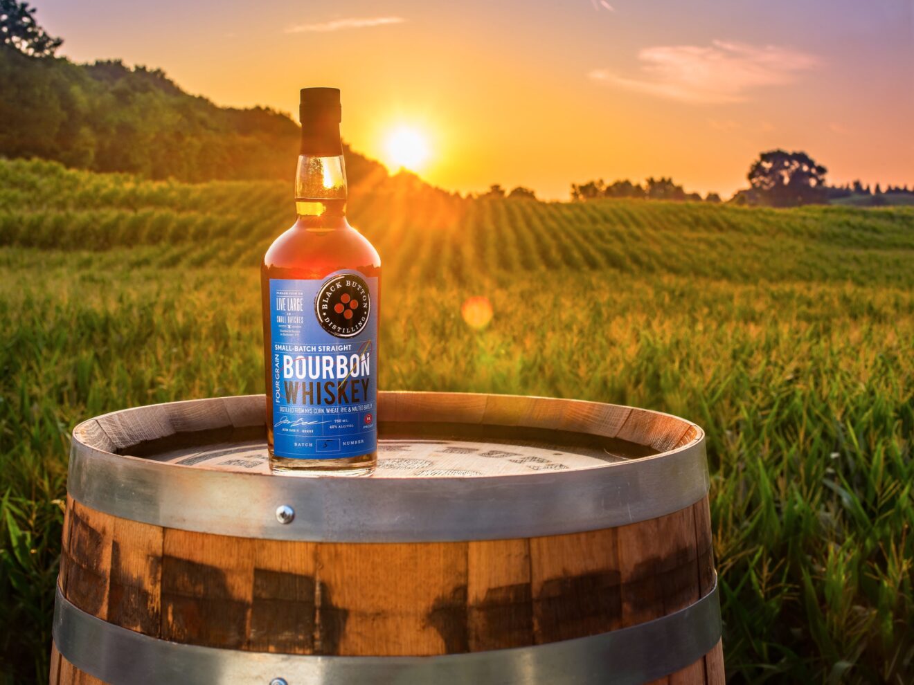 Constellation Brands Makes Minority Investment In Rochester Craft ...