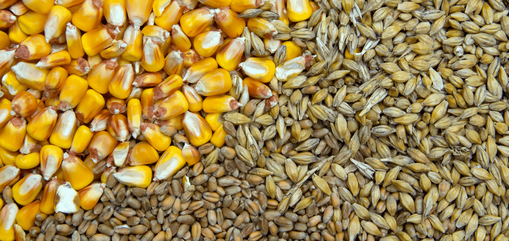 Behind The Still: The Mash Bill - Black Button Distilling